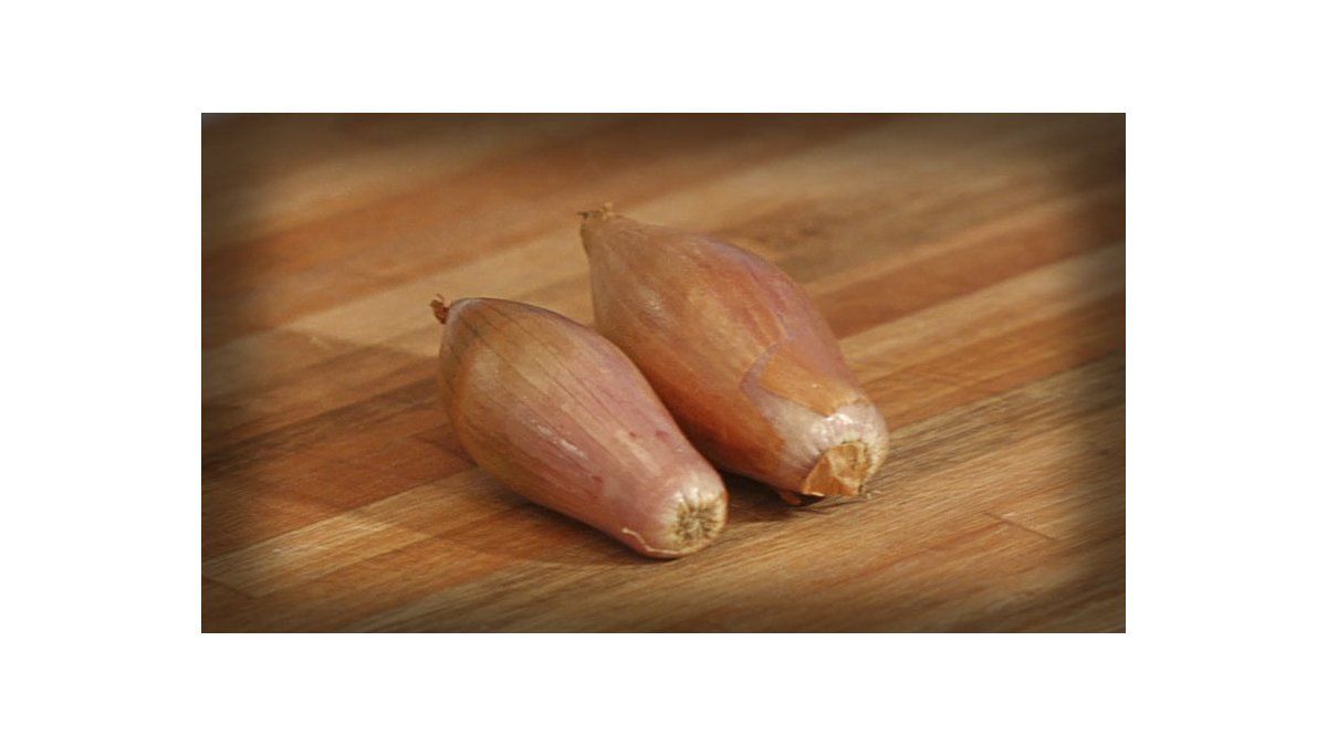 ¿Qué son los echalotes?