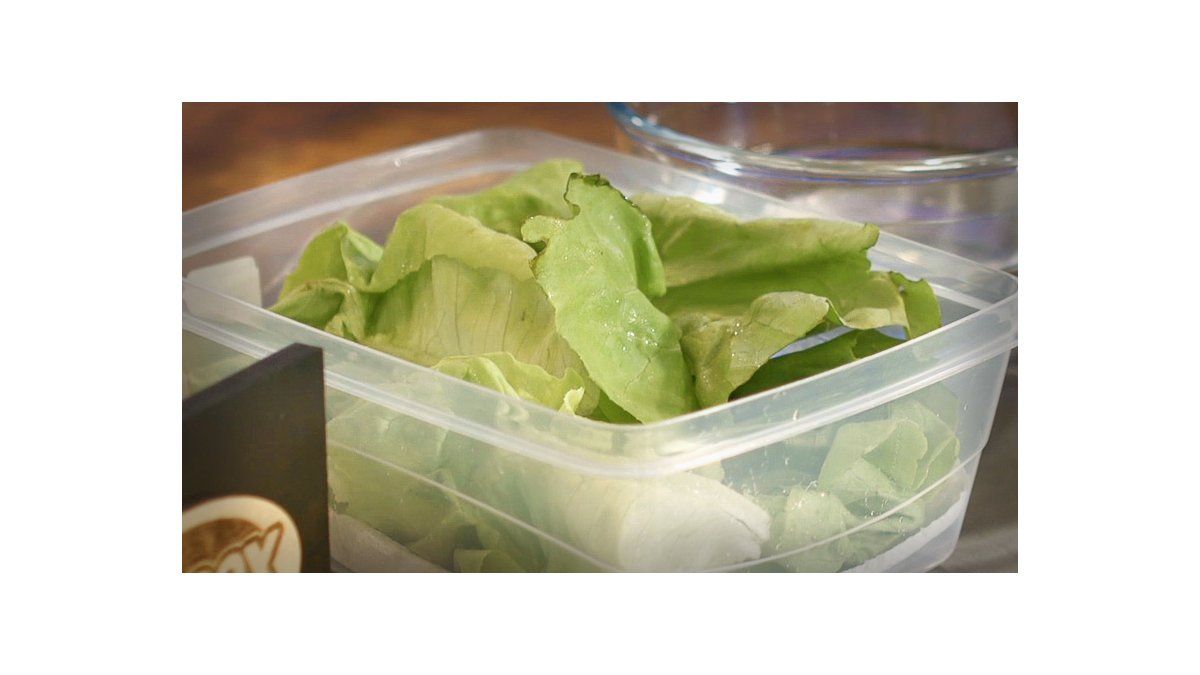 ¿Cómo conservar la lechuga?
