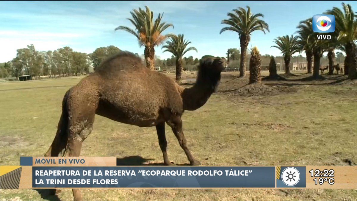Reabre la Reserva Ecoparque Rodolfo Tálice