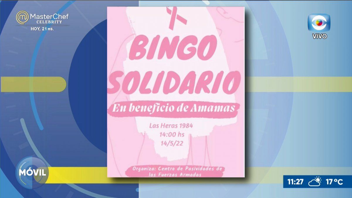 Bingo solidario en beneficio de Amamas