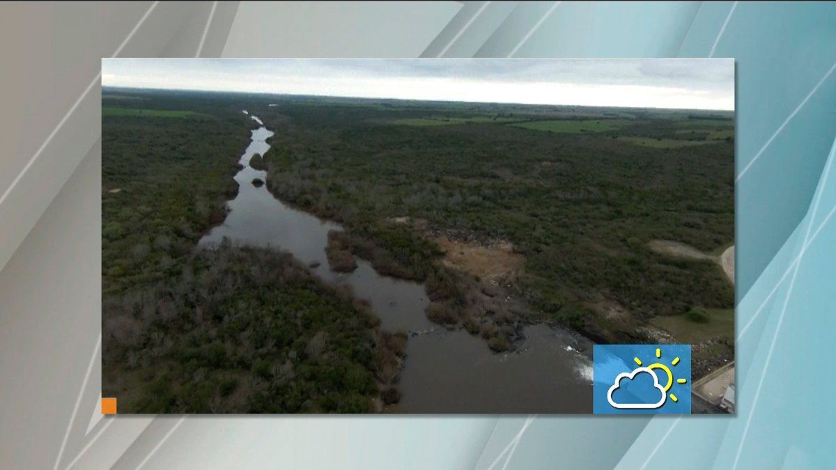 Últimas noticias sobre REDES-Amigos de la Tierra