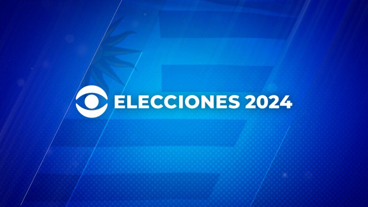 SUBRAYADO EL ANALISIS - ELECCIONES 2024